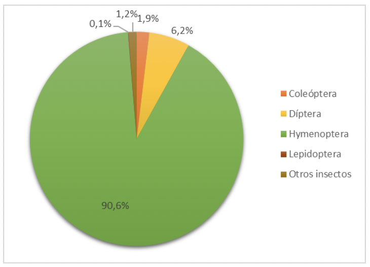 Estudio arroja que las abejas nativas son más eficaces en la ...