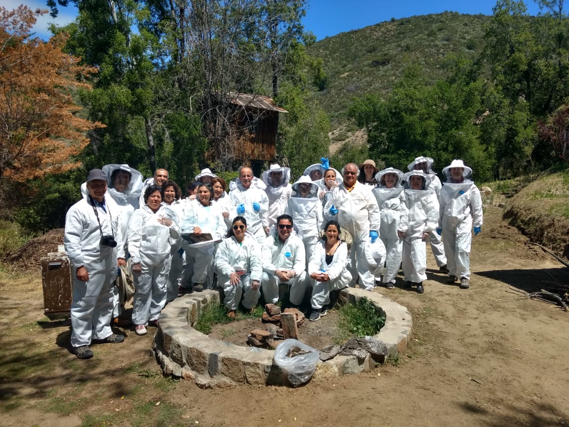 Se conforma con éxito la primera cooperativa exclusiva de apicultores ...